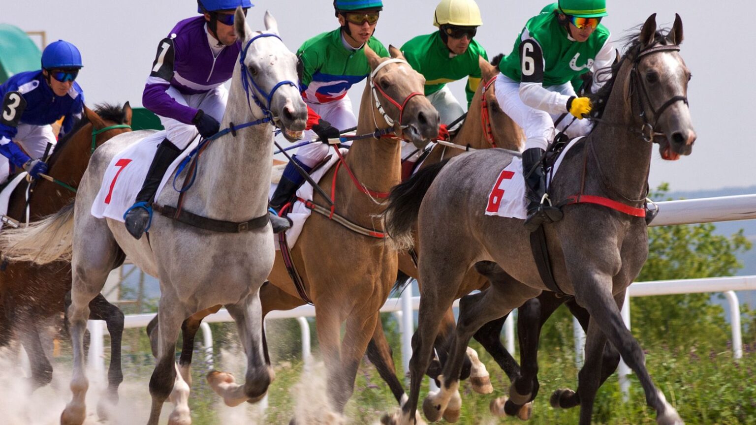 Emerald Downs: The Horse Racing Jewel of Seattle - Seattlesportsonline