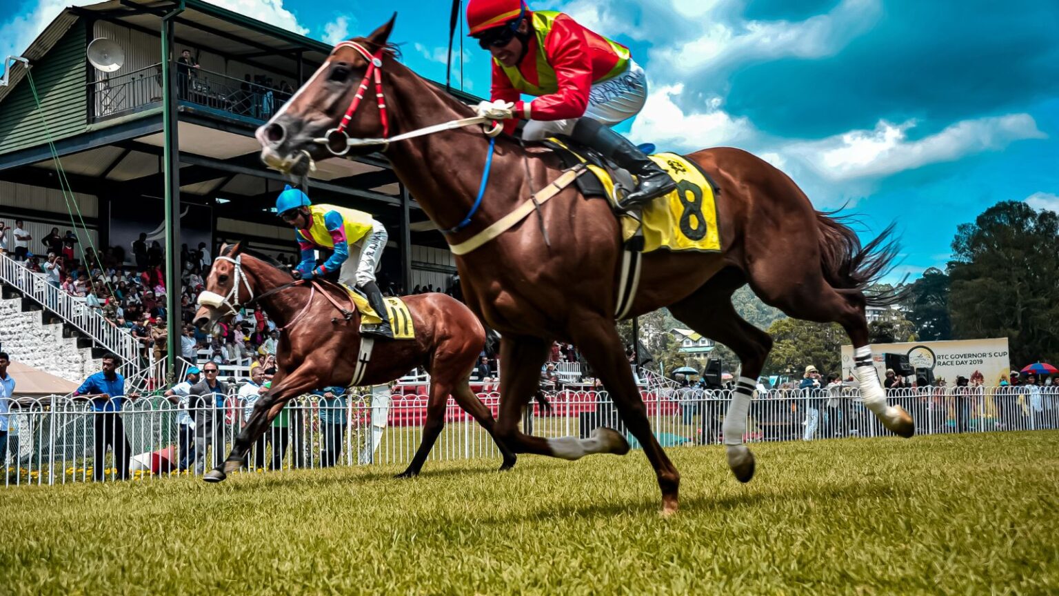 Emerald Downs: The Horse Racing Jewel of Seattle - Seattlesportsonline