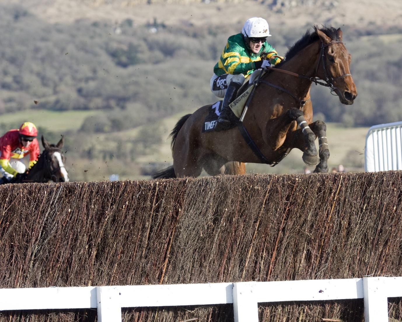 Key trends for the Queen Mother Champion Chase - Seattle Sports Online