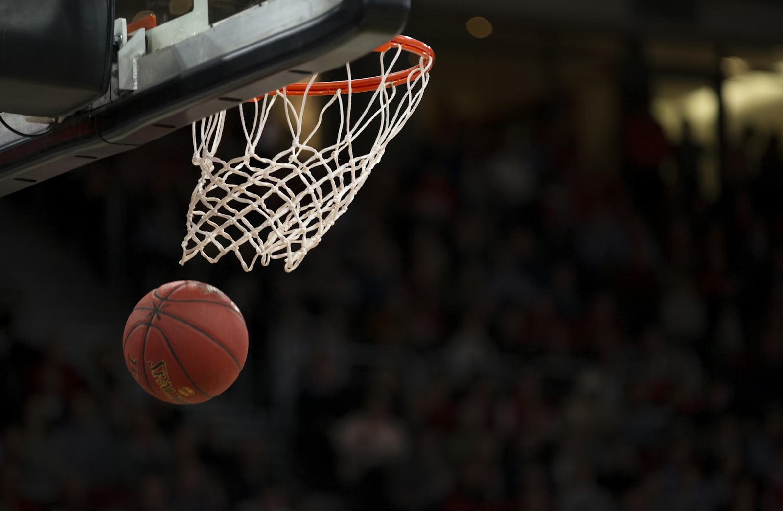Life Without the Sonics: How Seattle Fans Engage With the NBA Today ...
